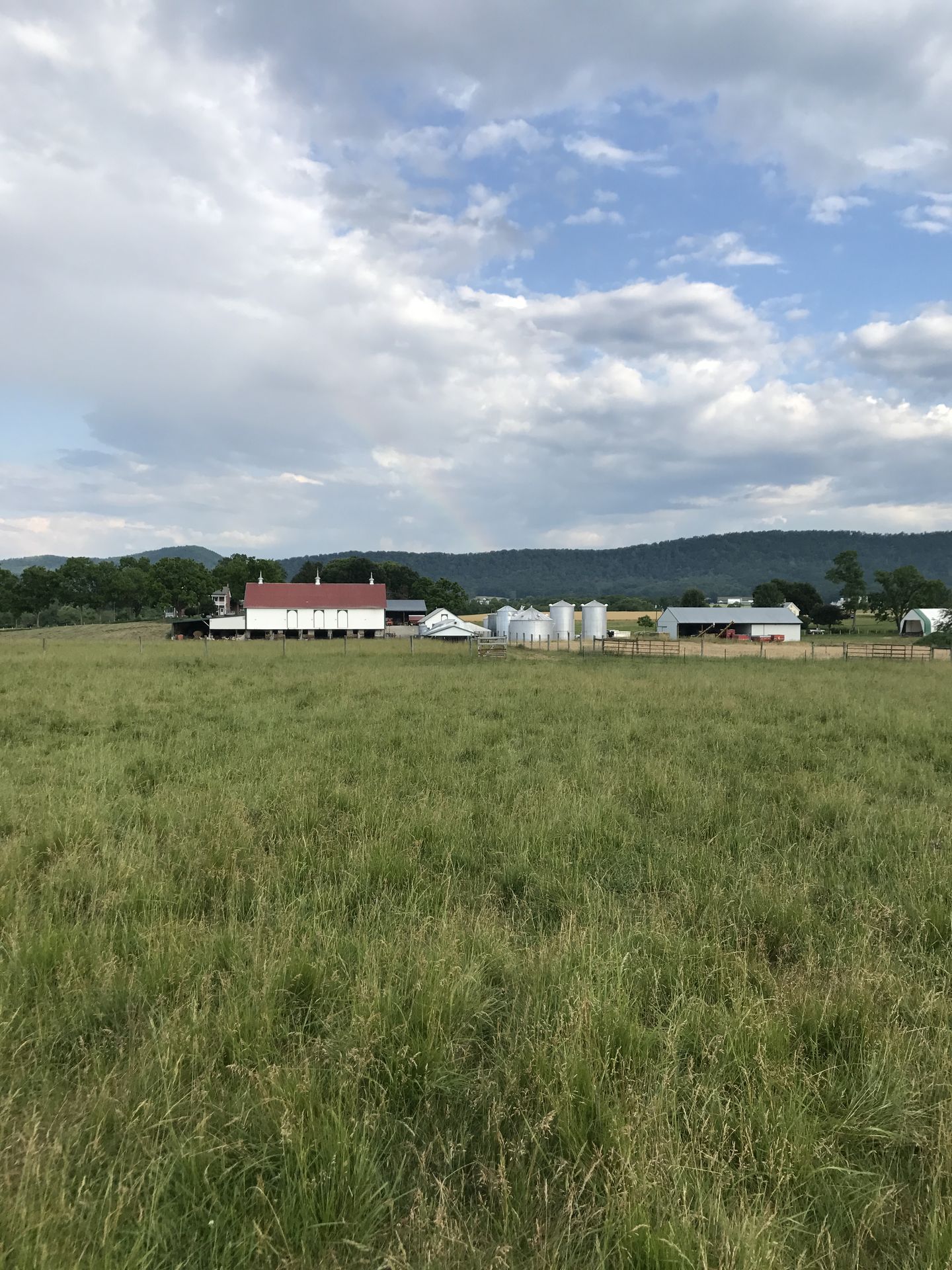 Ernst Grain & Livestock - Our Farm