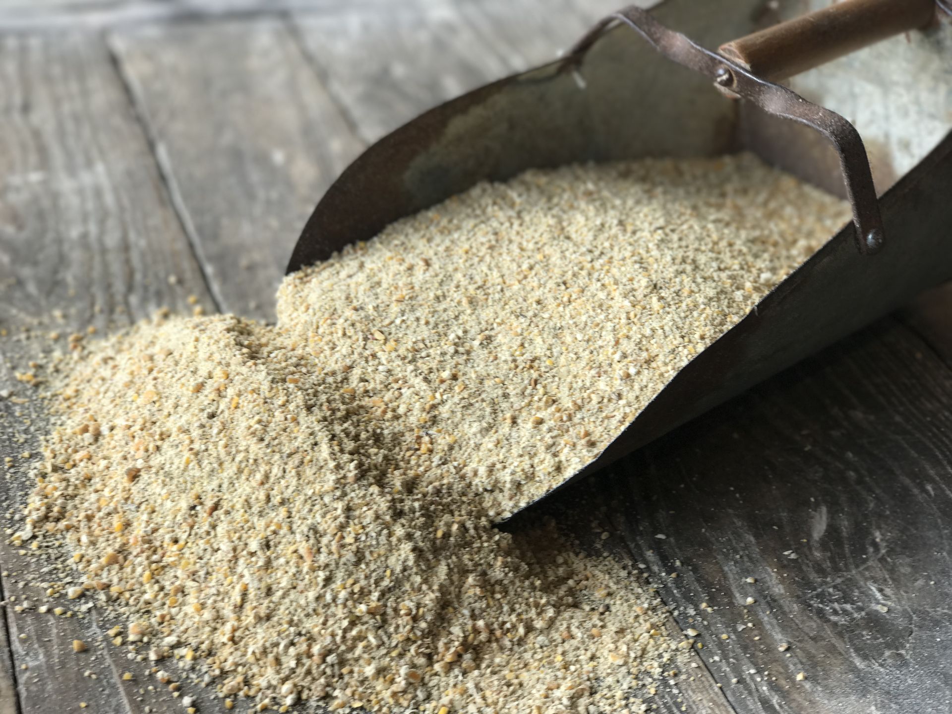 Wholesome Harvest Non-GMO Feeds
