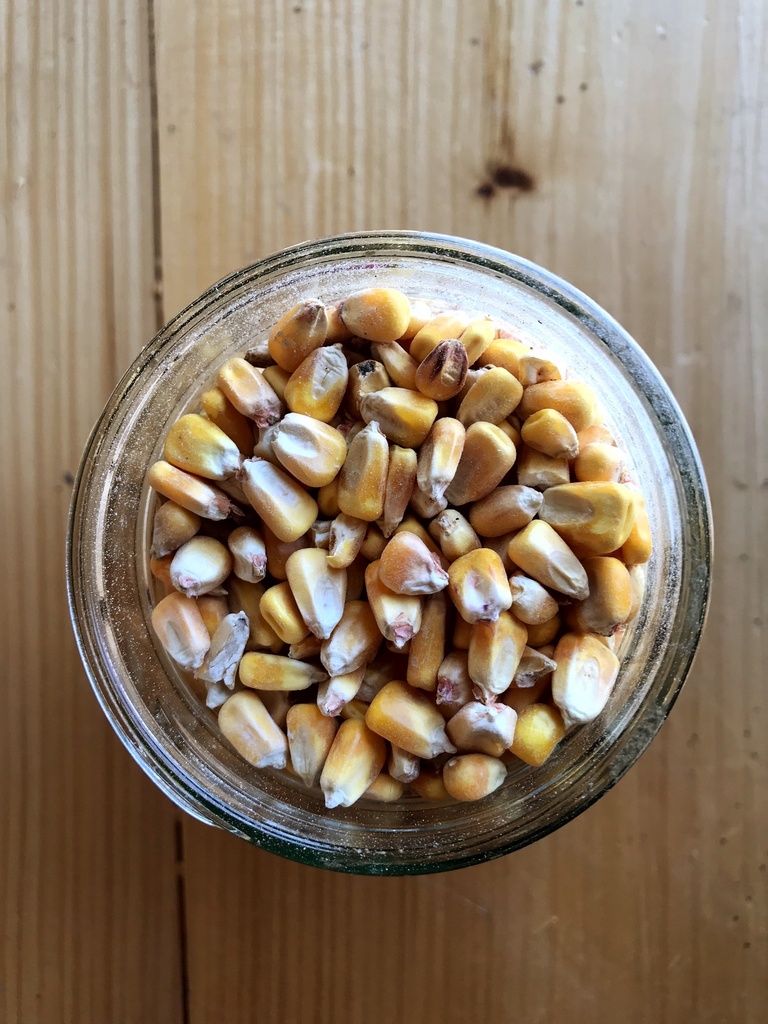 Whole Corn (Deer Corn) | Ernst Grain & Livestock